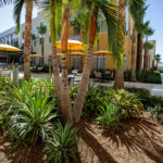 Home - Pacific Green Landscaping