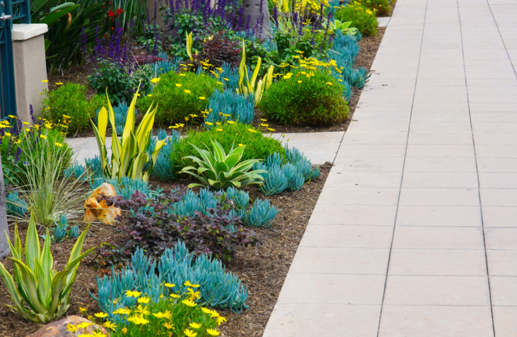 Portfolio - Pacific Green Landscaping