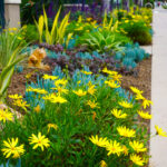 Home - Pacific Green Landscaping