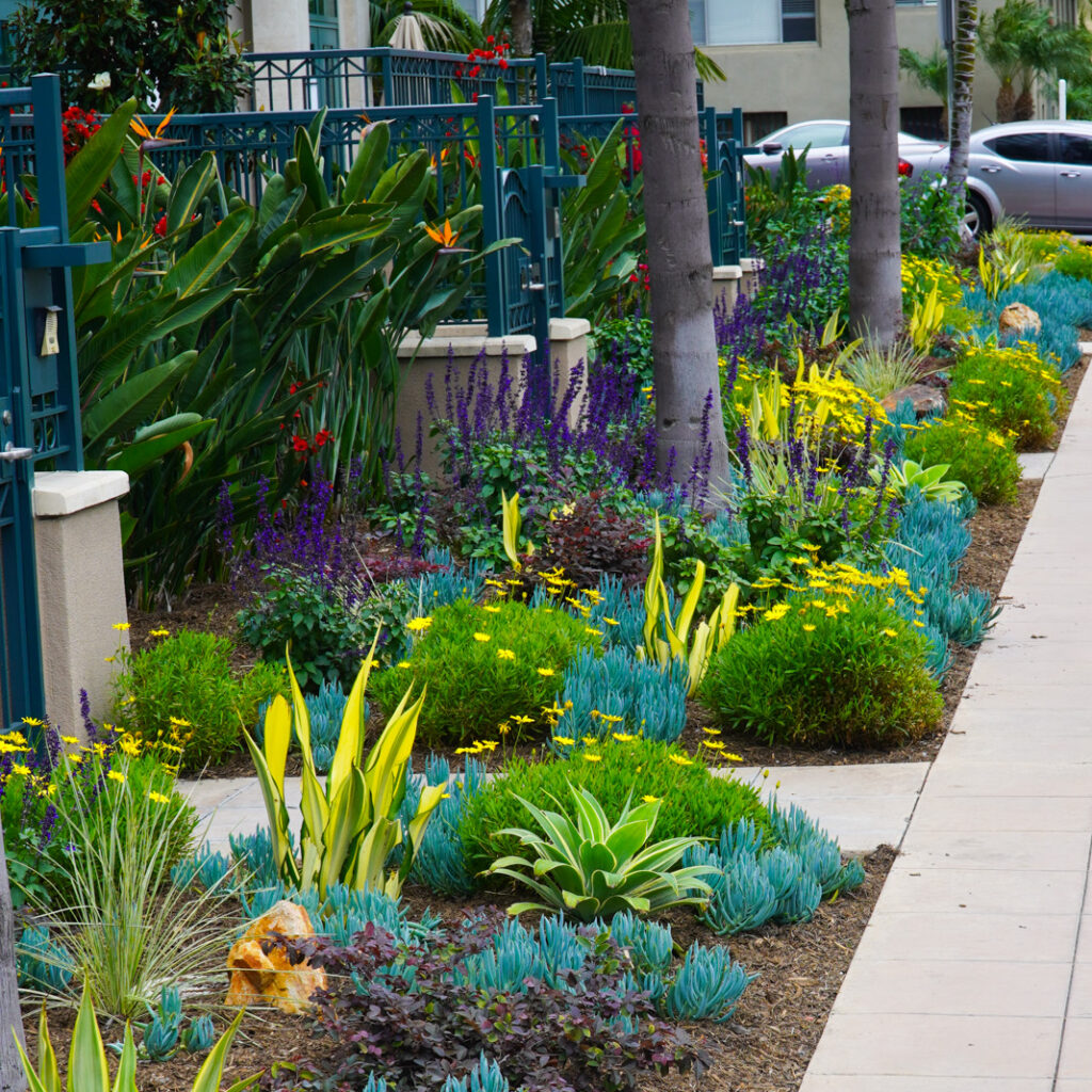 Digging Deep - Pacific Green Landscaping