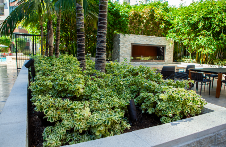 Portfolio - Pacific Green Landscaping
