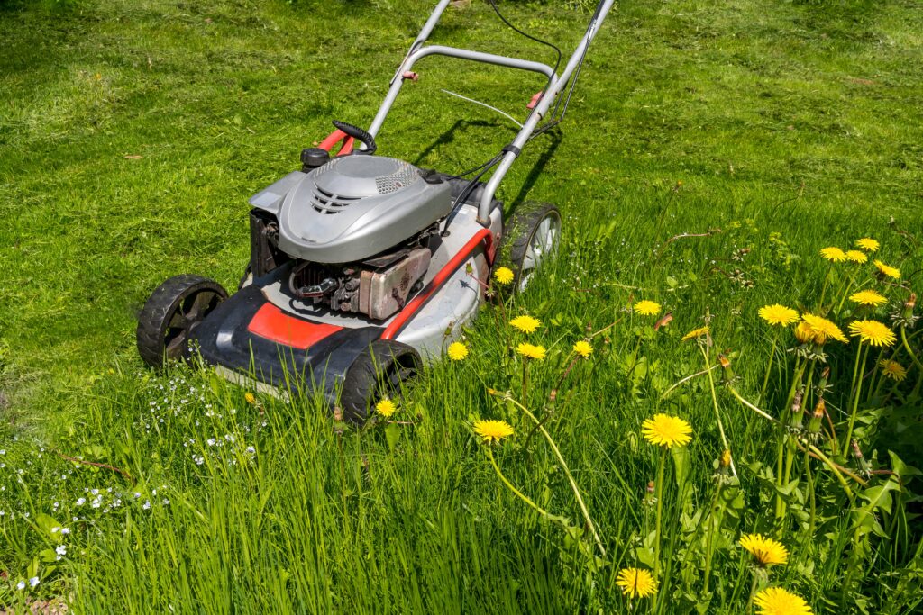About Us - Pacific Green Landscaping