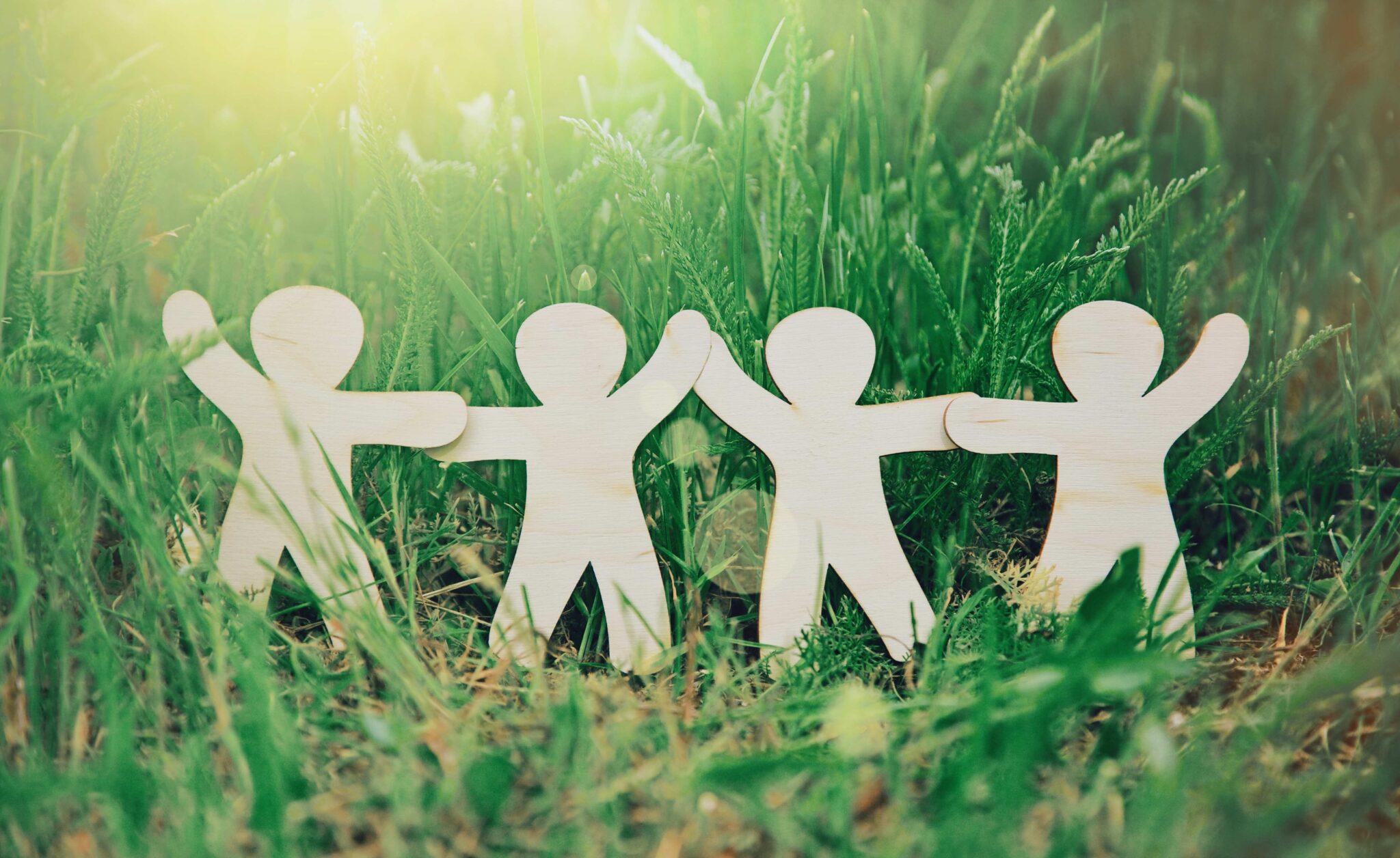 About Us - Pacific Green Landscaping