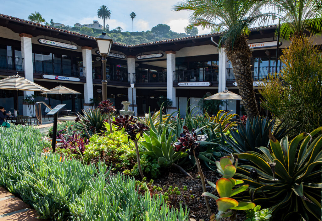 Services - Pacific Green Landscaping