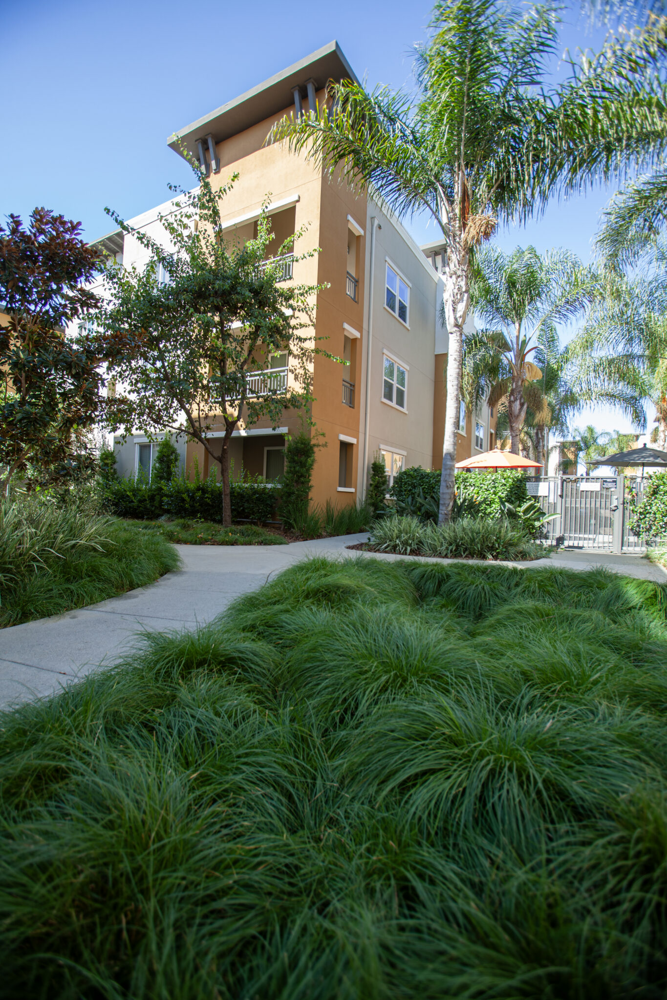 Services - Pacific Green Landscaping