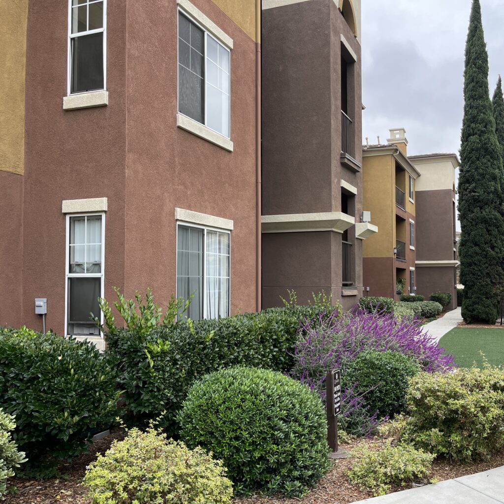 Digging Deep - Pacific Green Landscaping
